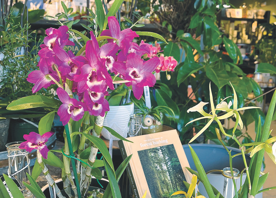 Enliven Your Summer with Local Finds - Colorado Homes & Lifestyles